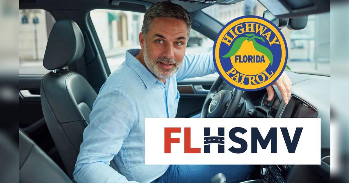 Driver License Check, la herramienta del FLHSMV que los conductores de ...
