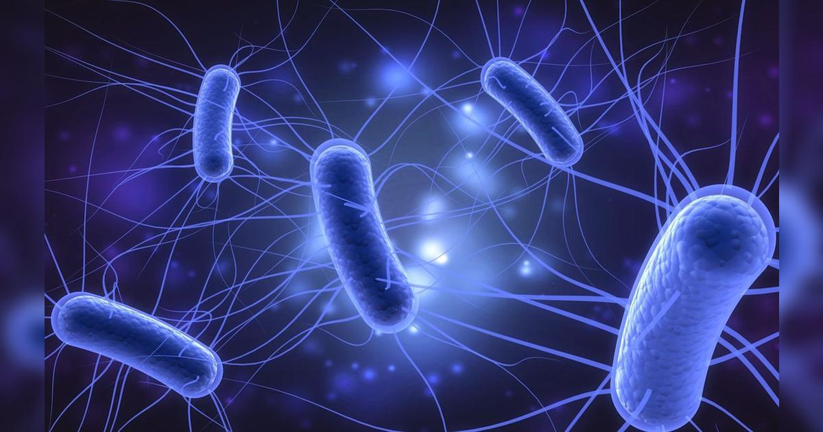 Descubren que los microplásticos estresan a las bacterias produciendo ...