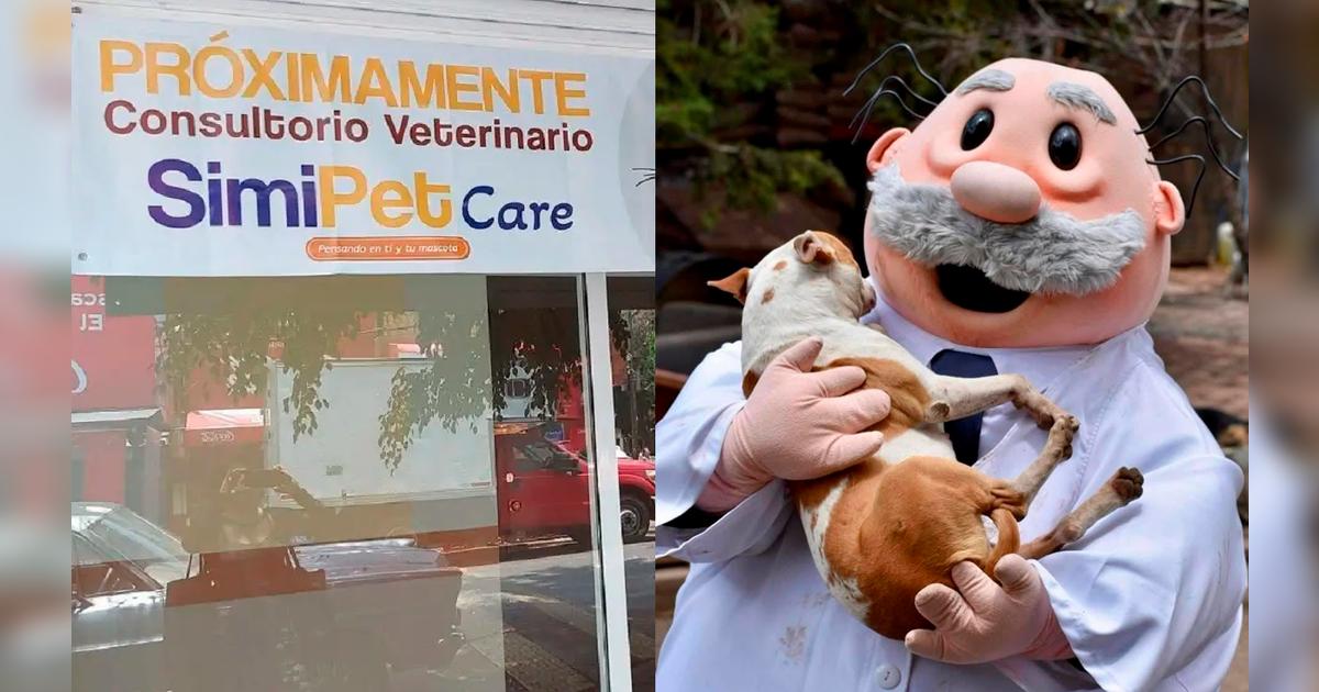 Simi Pet Care llega a CDMX: la alternativa en atención veterinaria de ...