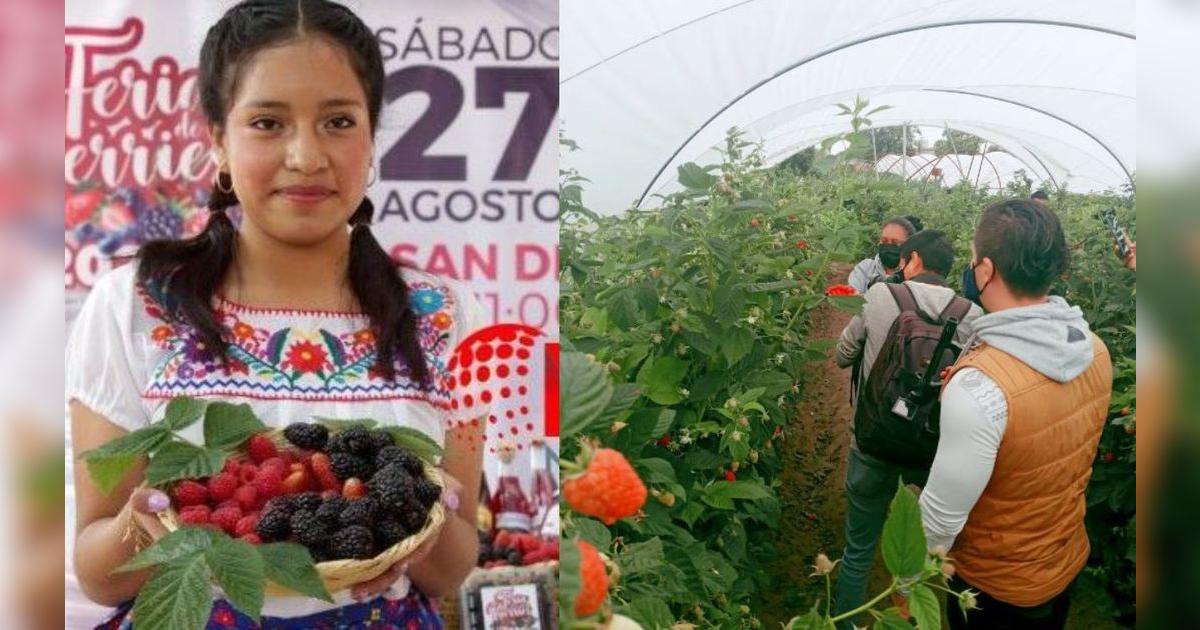 Conoce Huejotzingo, el 'pueblo mágico' de Puebla que se proyecta como ...