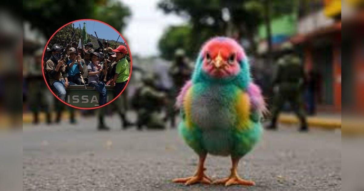¿Qué son los "pollitos de colores" en el narcotráfico? Cárteles de ...