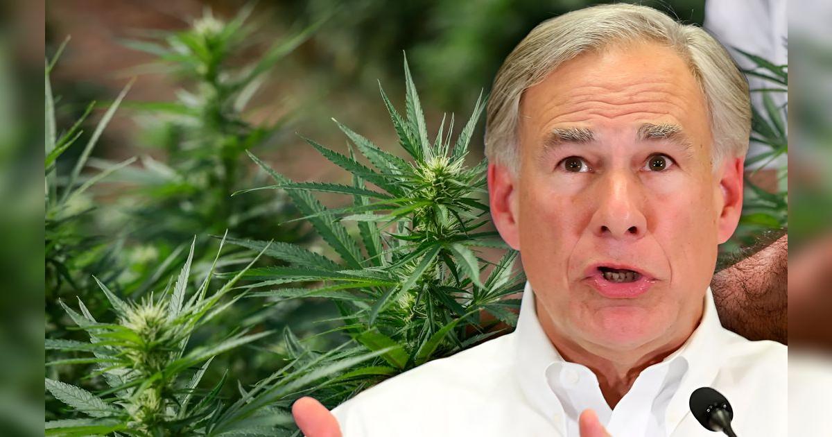 En manos de Greg Abbott: proyecto de ley que prohíbe el THC, marihuana ...