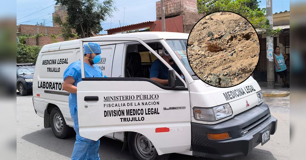 Primeras investigaciones de restos óseos, que serían según PNP de ...