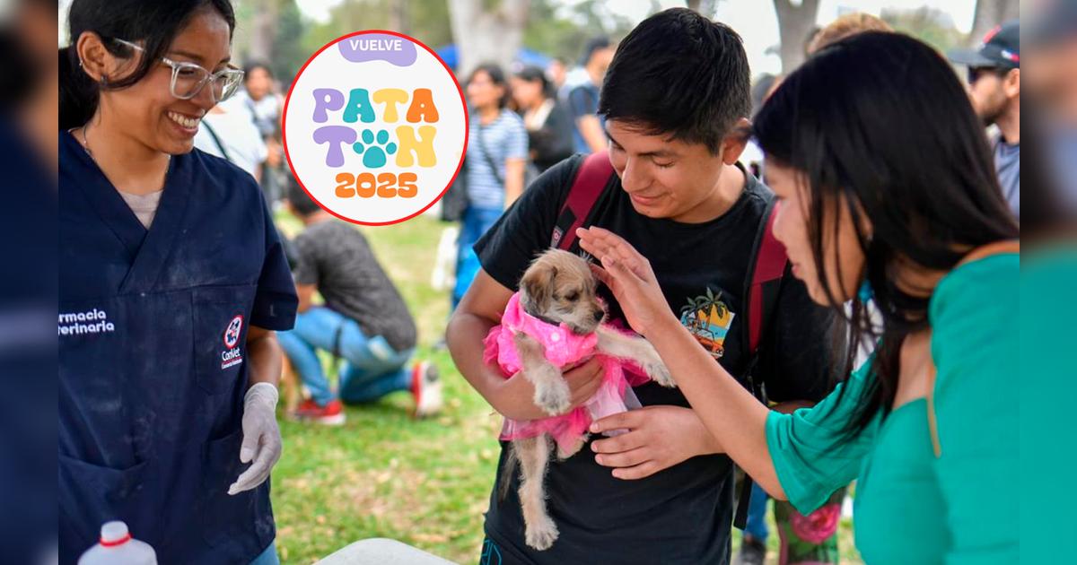 Patatón 2025: el festival de animales rescatados que busca recolectar ...