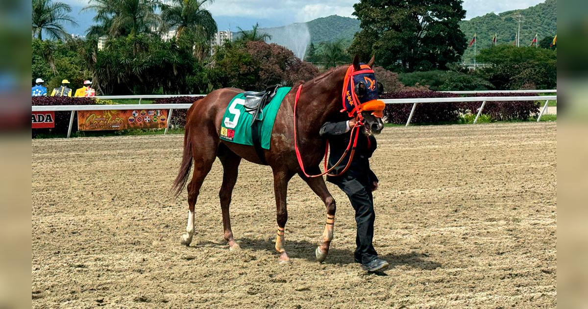 Resultados 5y6 La Rinconada, 6 de julio: caballos ganadores, órdenes de ...