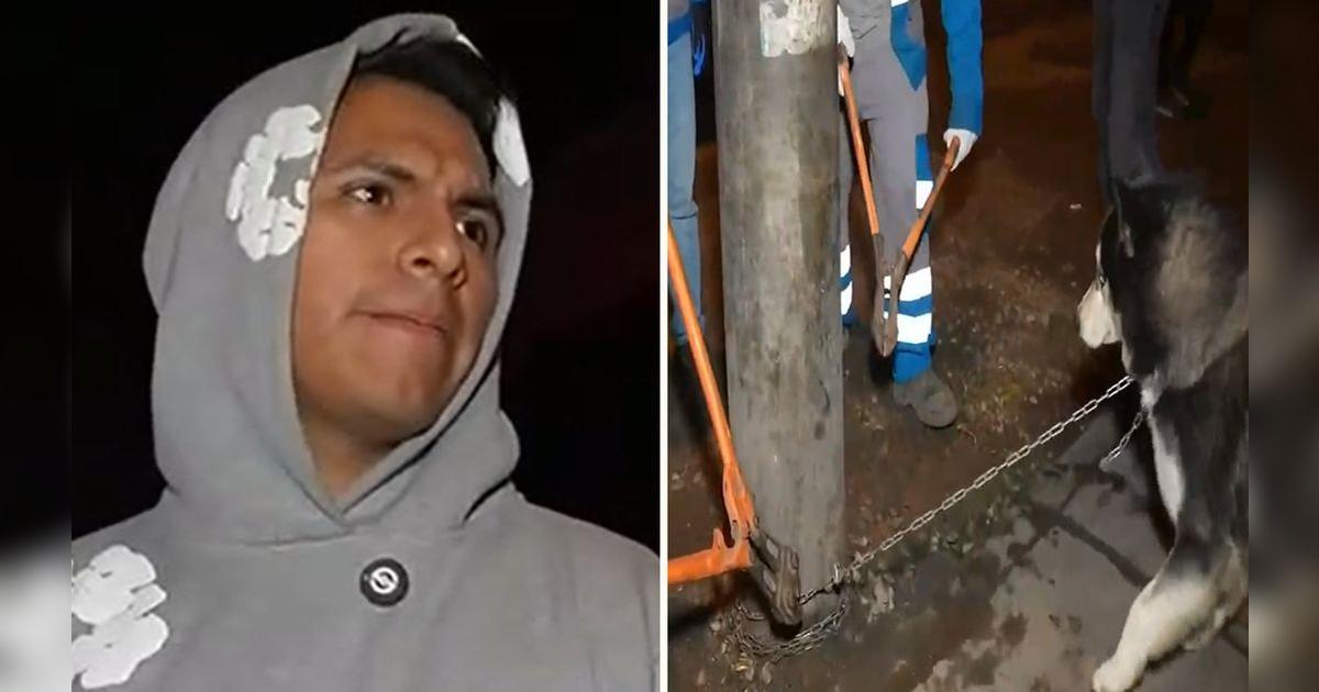 Franco Vidal halla a perrito encadenado a un poste durante una ...