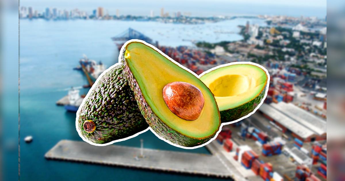 Este es el país de Sudamérica que rompe récord mundial de exportación ...