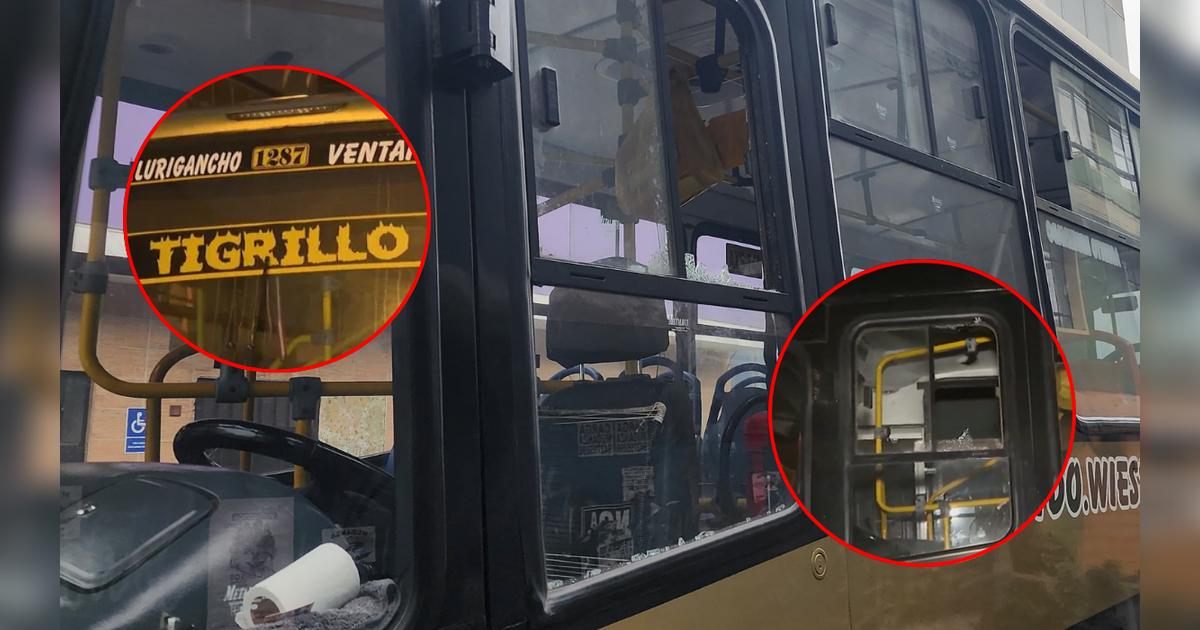 Sicarios matan a balazos a cobrador de bus "Tigrillo" en SMP: empresa ...