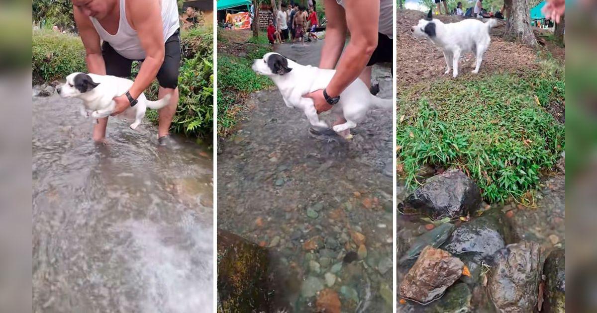 TikTok viral: Hombre ayuda a su perrito a cruzar riachuelo sin mojarse ...