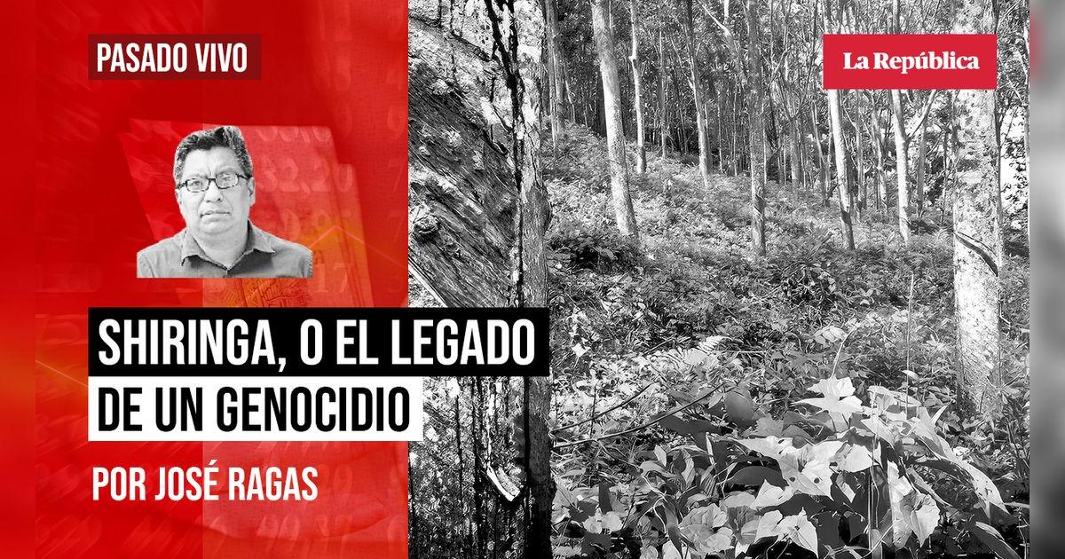 Shiringa, o el legado de un genocidio, por José Ragas hnews | Opinión ...