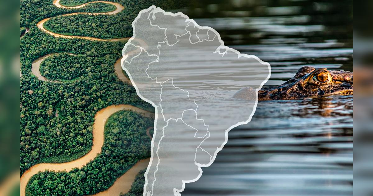 Conocido como el río más largo y el más caudaloso del mundo, recorre ...