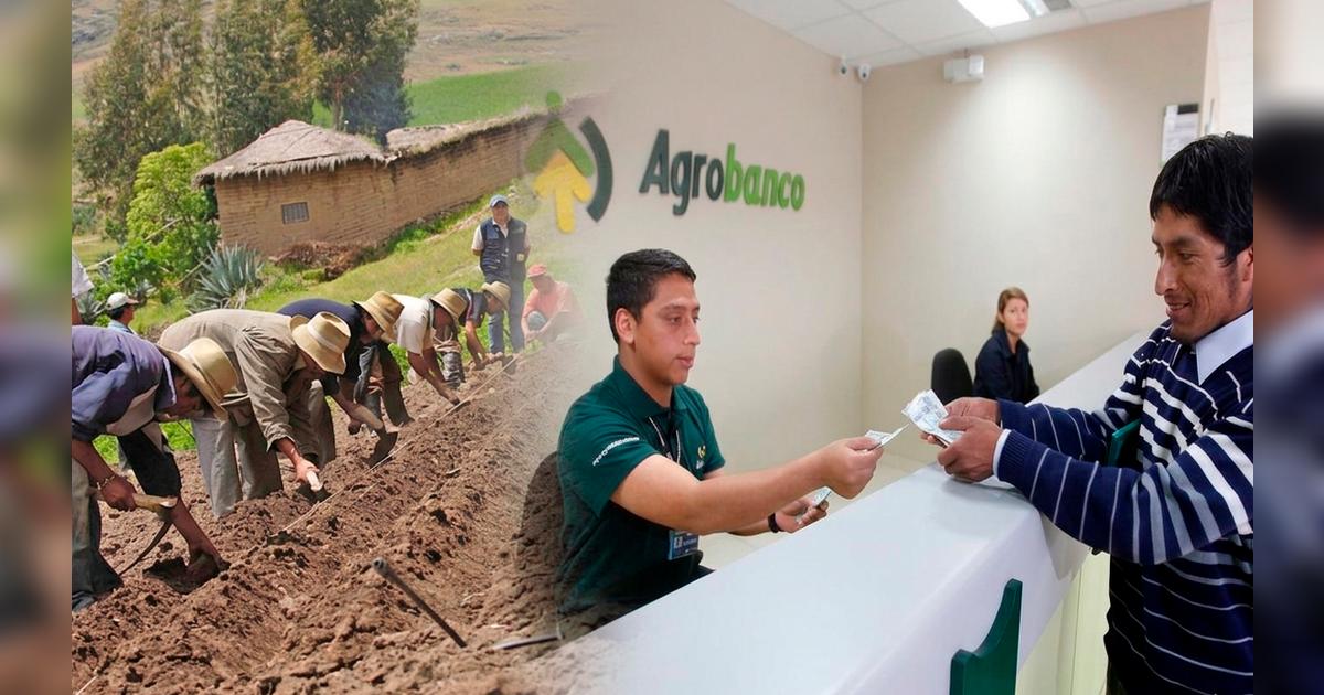 Midagri: Fondo Agroperú destina más de S/226 millones en créditos ...