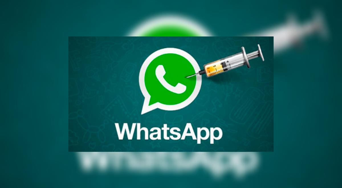 WhatsApp: llega a Latinoamérica peligroso virus que se transmite por ...