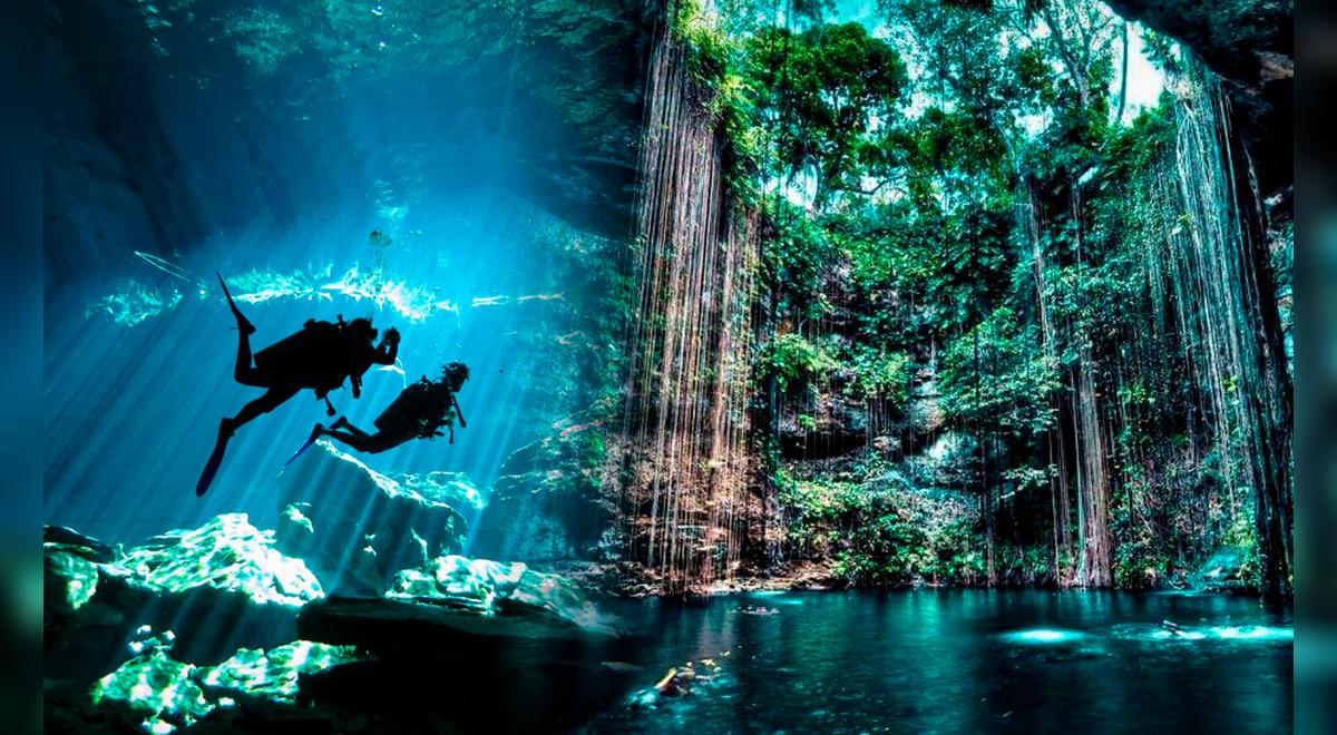 ¿Qué son los cenotes y por qué son de los más grandes atractivos de ...