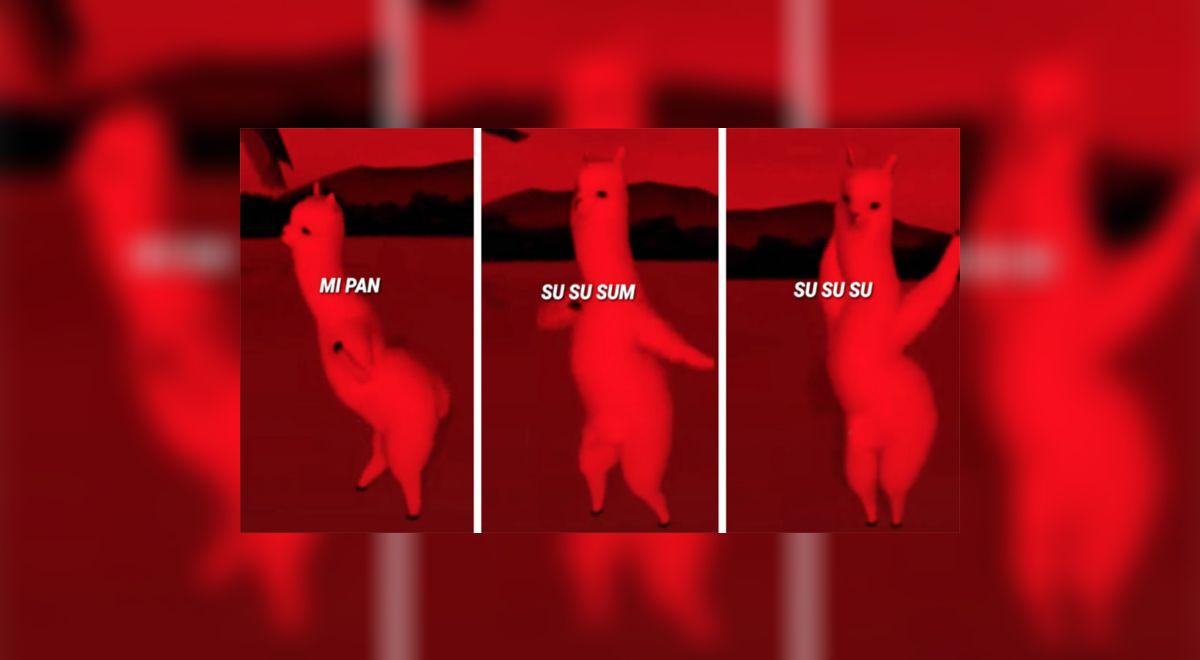 Tik Tok: Mi pan su su sum, de qué trata y qué significa la canción que ...