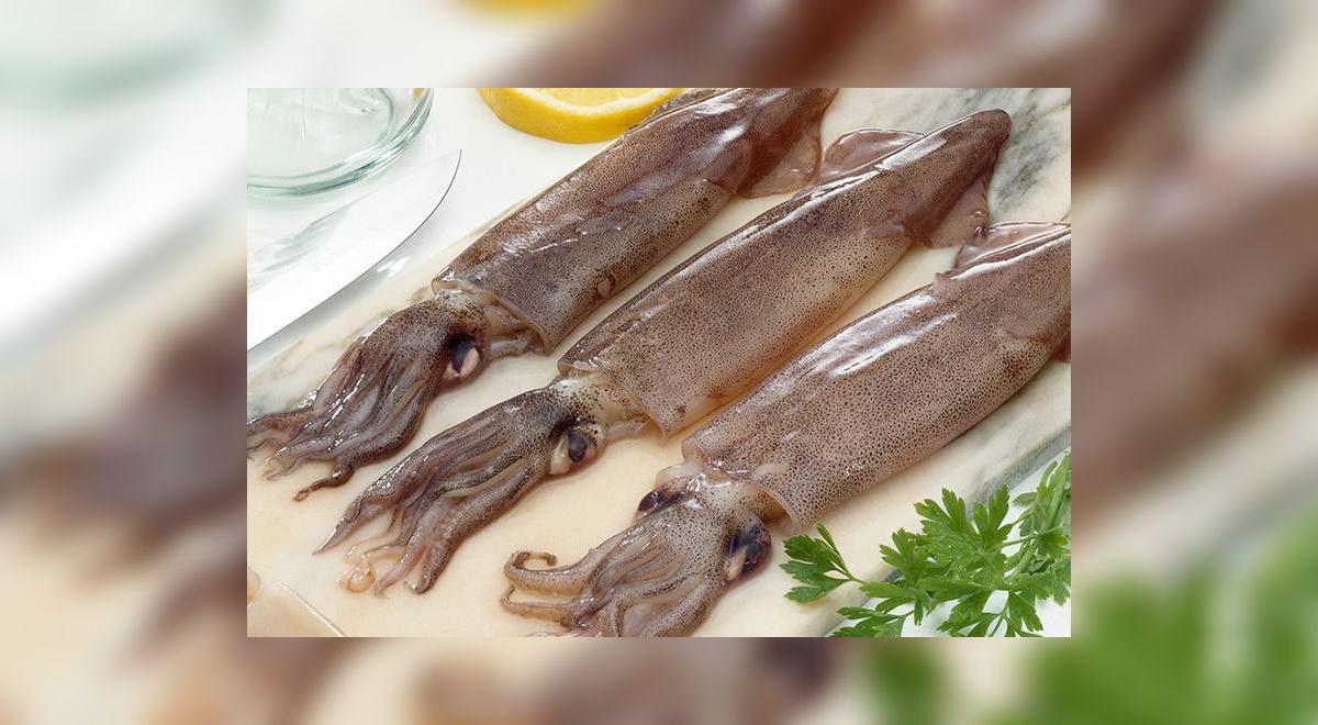 Produce: calamar peruano vuelve al mercado de China