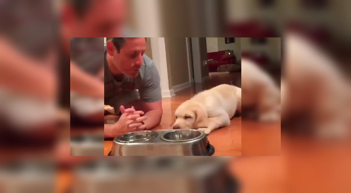 Facebook viral: hombre le enseña a su perro a rezar antes de comer y ...