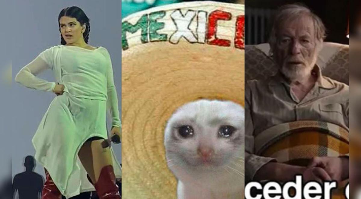¿Cuáles fueron los memes más virales que se hicieron famosos en el 2022 ...