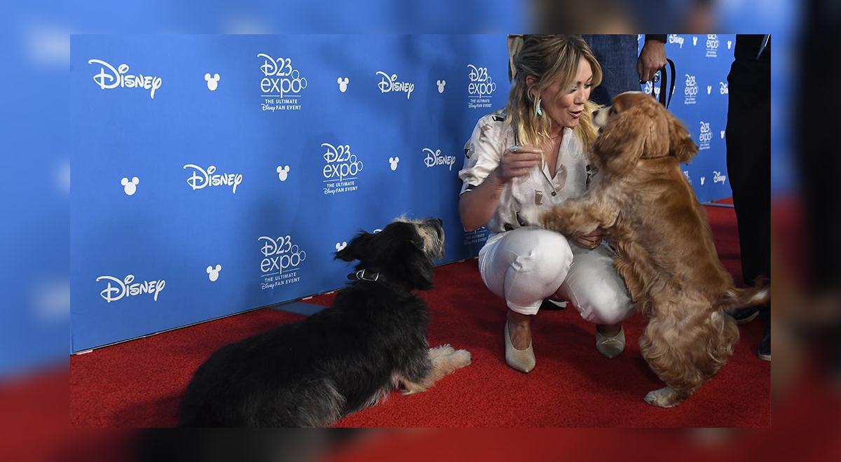 El tierno ‘hociqueo’ de la Dama y el Vagabundo sobre la red carpet del ...