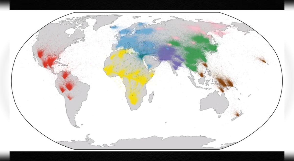 El árbol genealógico más completo de la especie humana revela gran ...