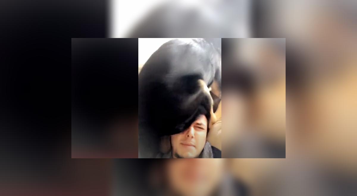 Facebook viral: perro tiene curiosa reacción cuando su dueño intenta ...