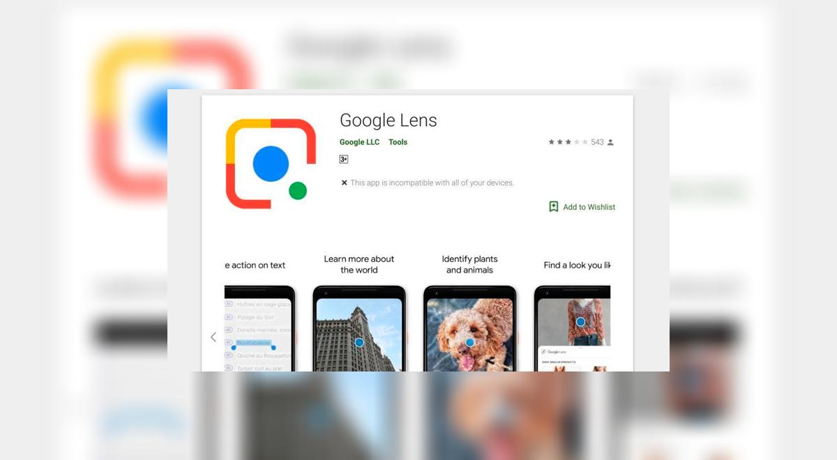 Smartphone: ¿Por qué deberías instalar Google Lens en tu teléfono y ...