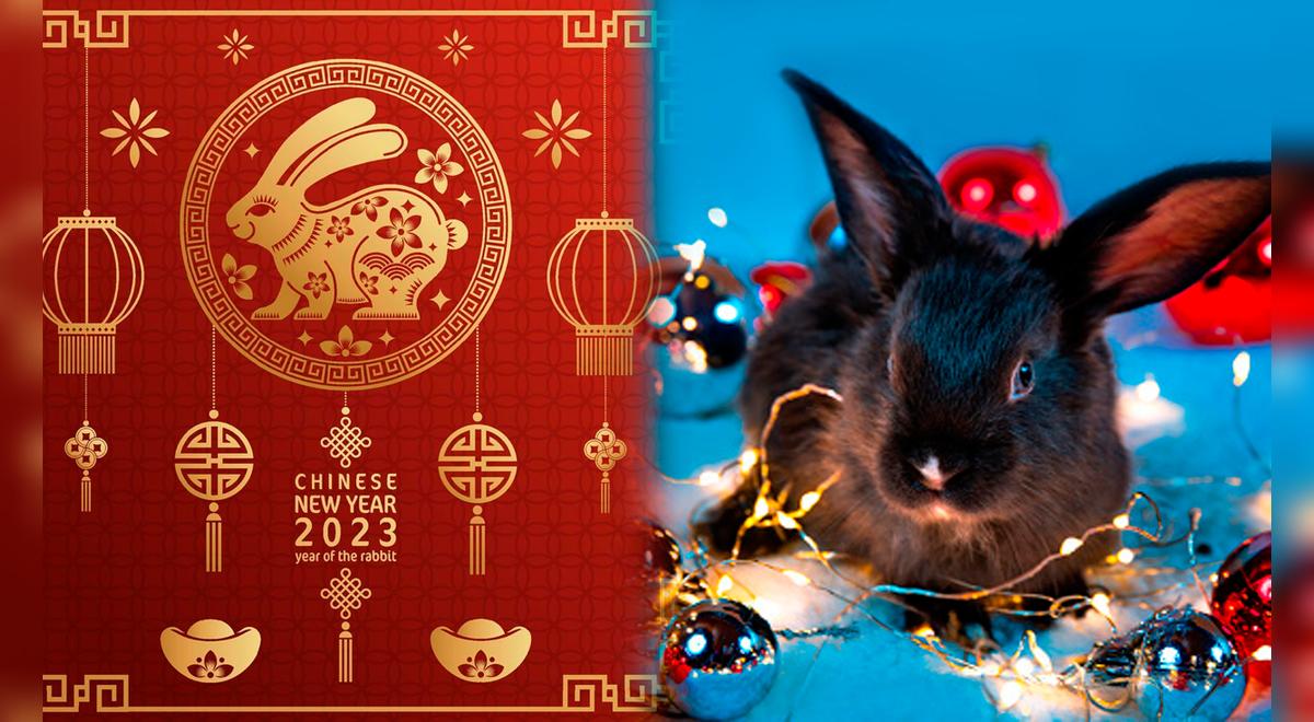 ¿Qué significa el año del conejo negro, símbolo del 2023 en el ...