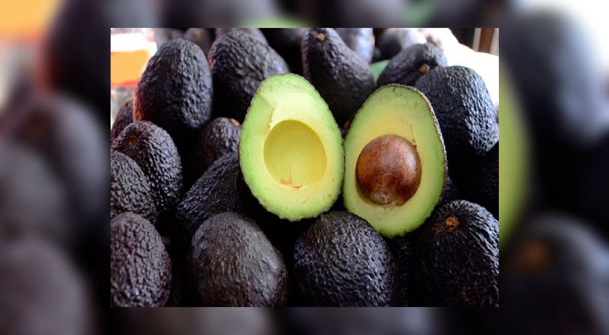 Palta: cuáles son los beneficios, trucos para hacerla madurar y por qué ...
