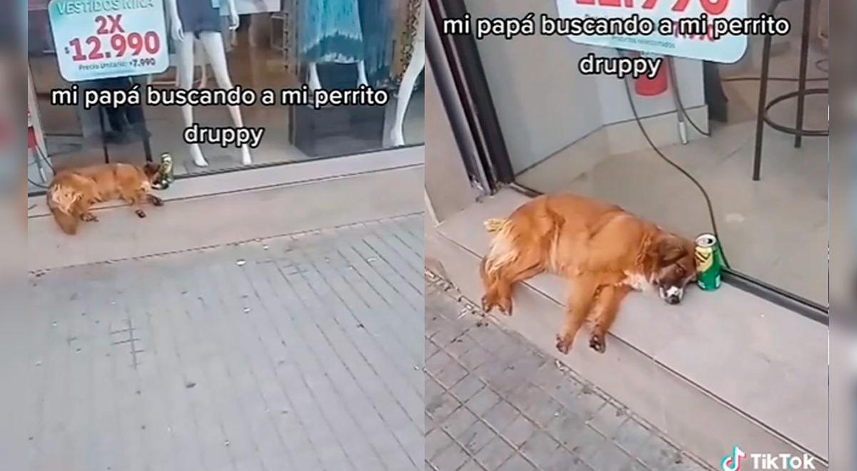 TikTok viral: Hombre busca a su perrito perdido y lo encuentra tirado ...