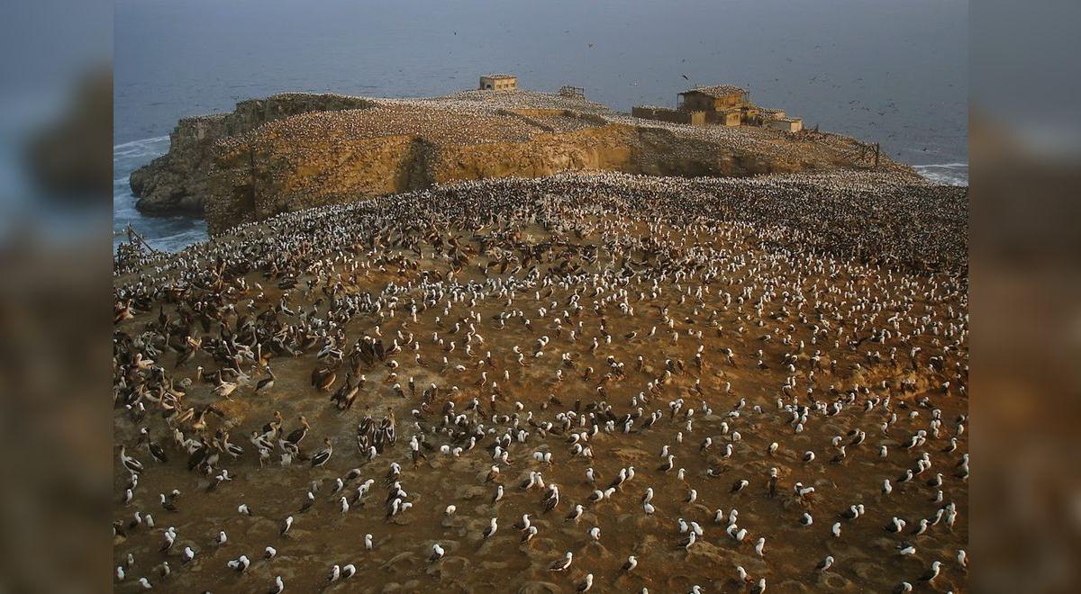 Buscan repotenciar el turismo y la conservación de las Islas Macabi ...