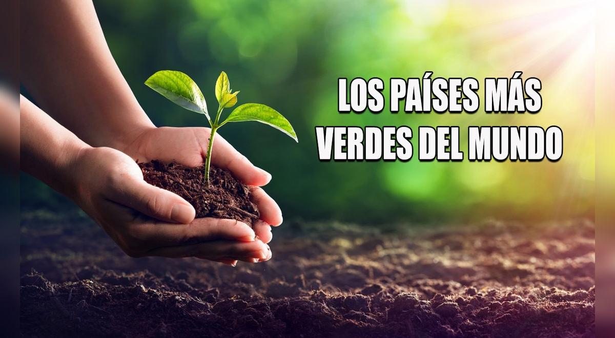 ¿Cuáles son los países más verdes y por qué se llaman así? | Respuestas ...