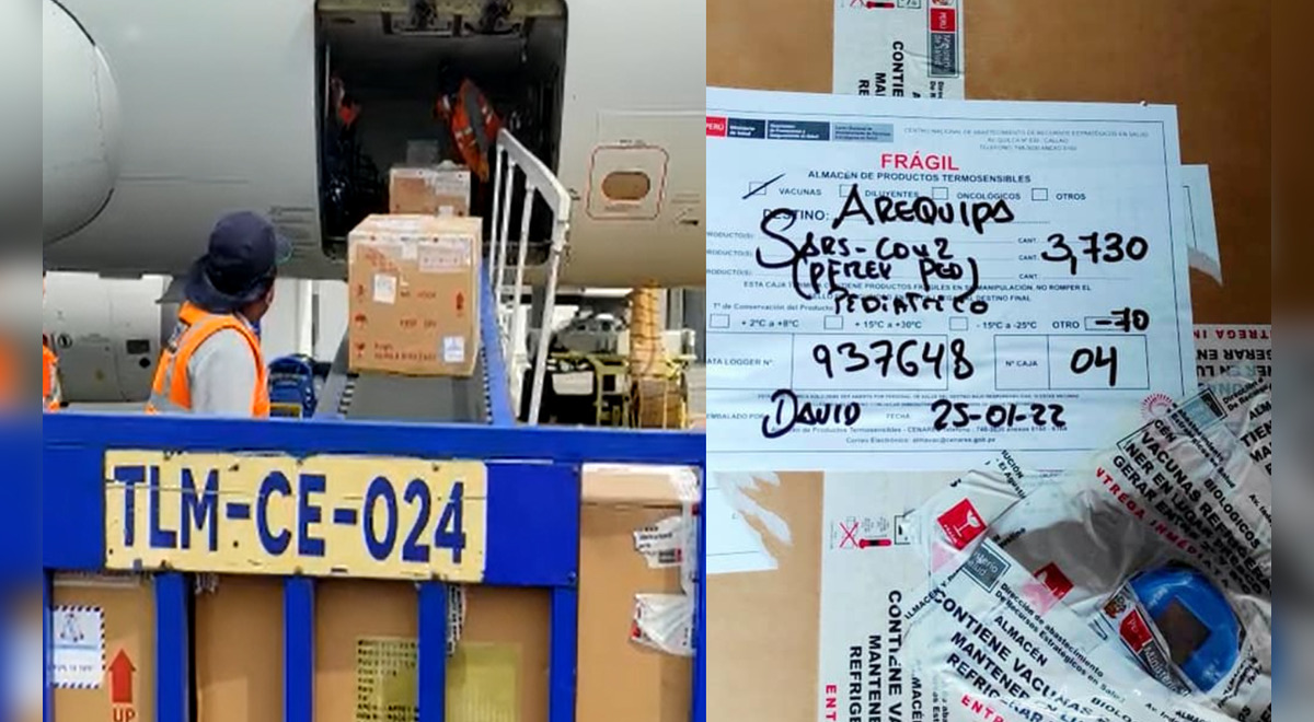Arequipa: llegaron las primeras 37.700 vacunas pediátricas contra la ... Arequipa: llegaron las primeras 37.700 vacunas pediátricas contra la ...