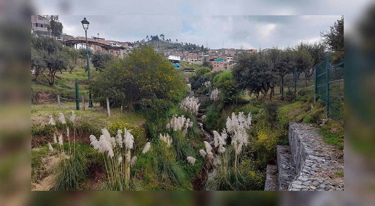 Cusco: parque alberga plantas nativas y vestigios arqueológicos lrsd ...