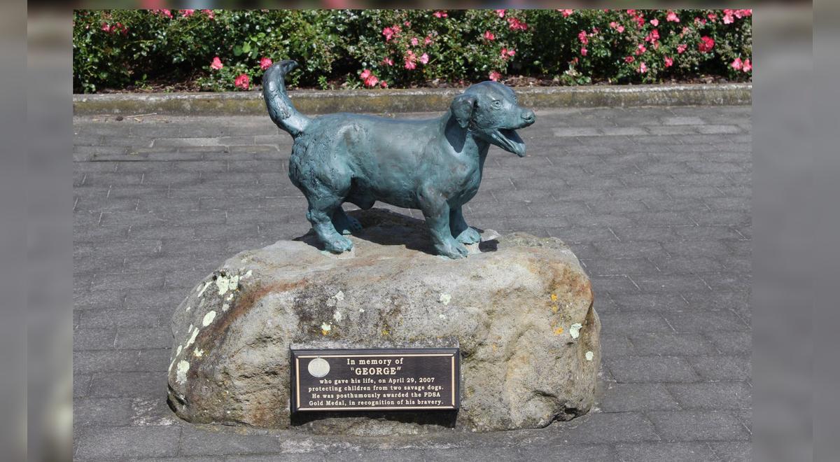 George, la historia del perro que dio su vida para salvar a 5 niños de ...