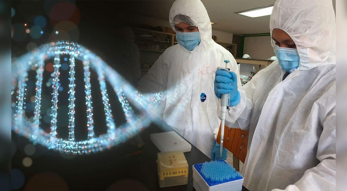 Genética: Qué estudia, para qué sirve y qué hace un genetista ...