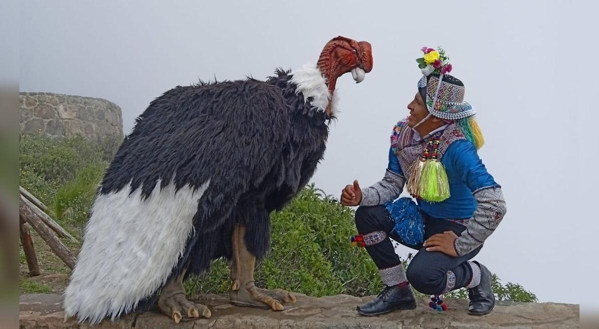 TikTok viral: El 'Cóndor humano', un personaje que causa sensación en ...