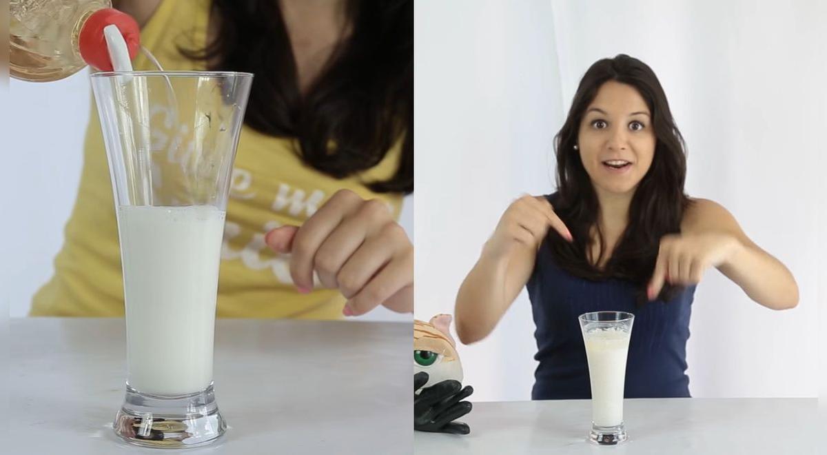 YouTube viral: ¿qué sucede al mezclar leche con vinagre? Experimento ...