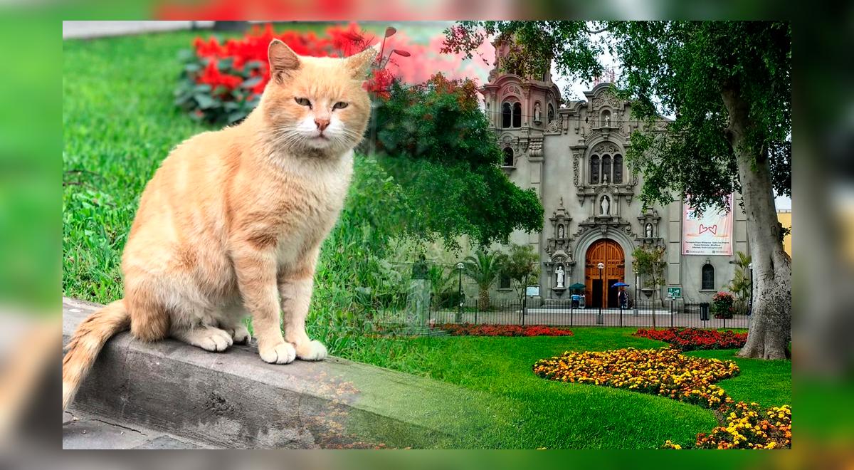 ¿Cómo se llama verdaderamente el parque Kennedy de Miraflores ...