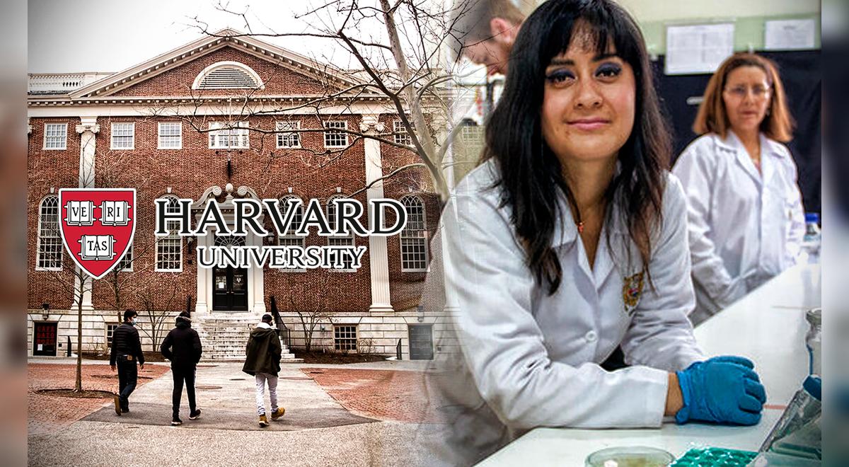 Pronabec: cómo postular a Harvard y estudiar un posgrado GRATIS con las ...