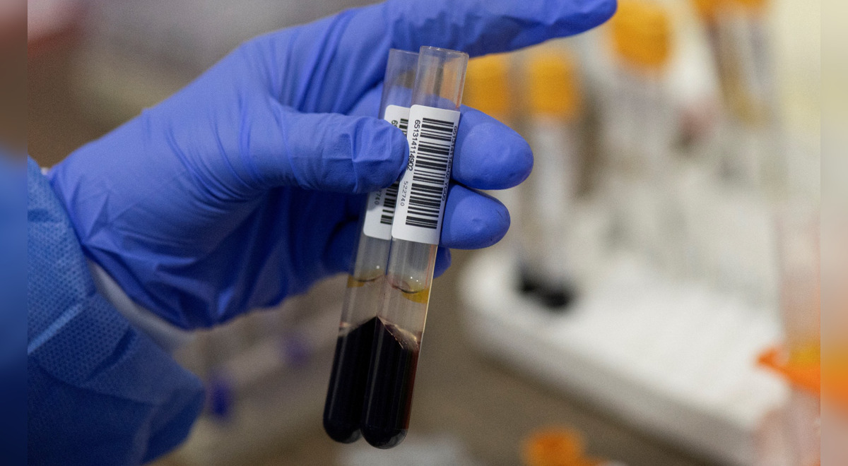 Un Test De Sangre Podría Detectar 50 Tipos De Cáncer Antes De Los