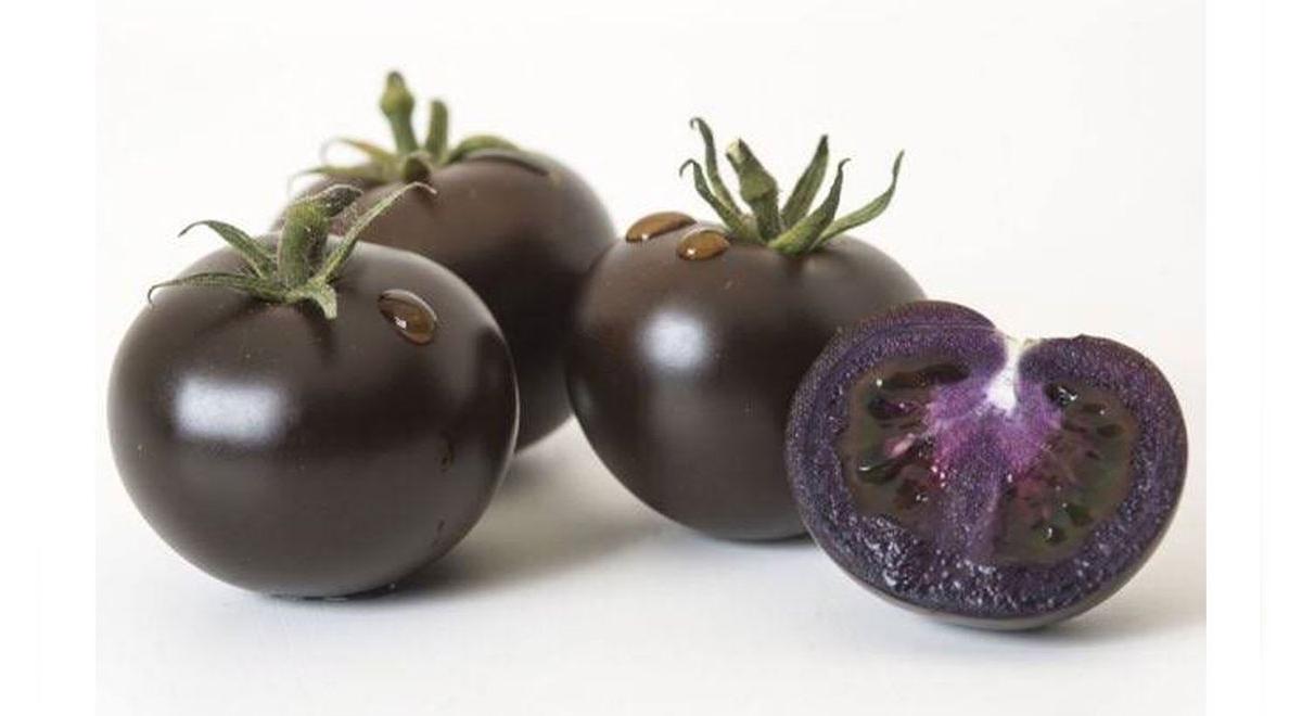 Tomate morado, el alimento creado con ingeniería genética que ya está ...