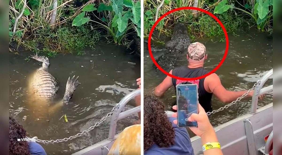 YouTube viral: hombre ve un cocodrilo volteado mientras viajaba en bote ...