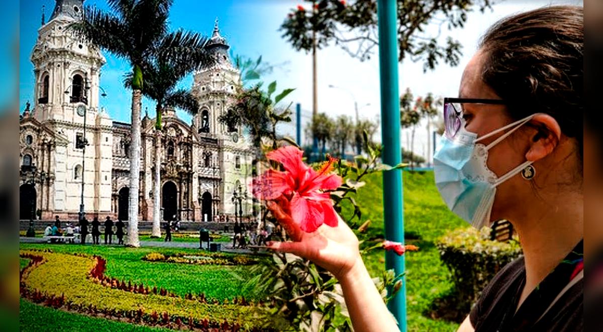 Primavera en Perú 2022: ¿cuándo y a qué hora inicia? | Temperatura en ...