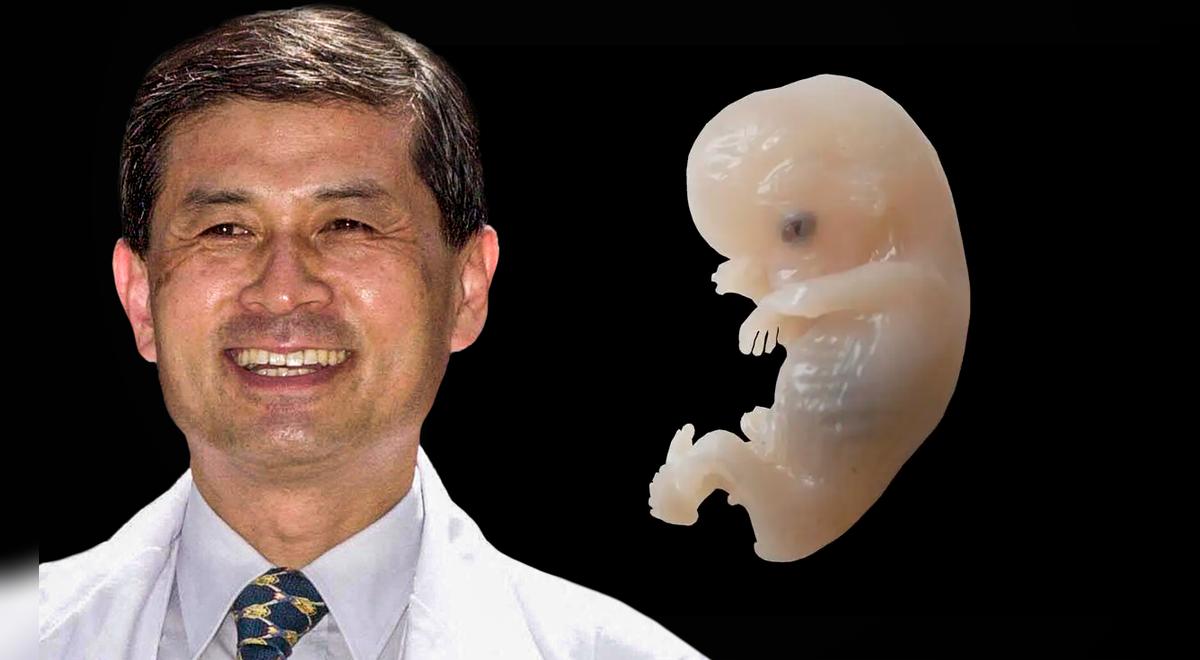 Hwang Woo Suk: ¿Qué pasó con el científico surcoreano que afirmó haber ...