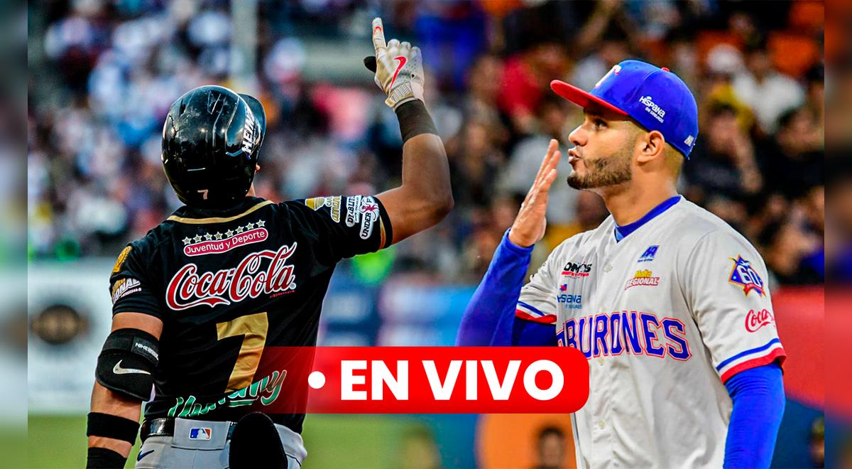 Final LVBP EN VIVO: los Leones del Caracas vencieron a los Tiburones de ...