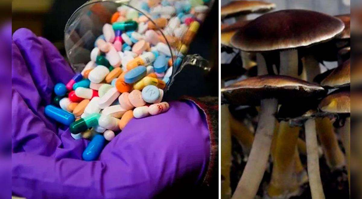 Australia legalizará el éxtasis y hongos alucinógenos para tratamientos ...