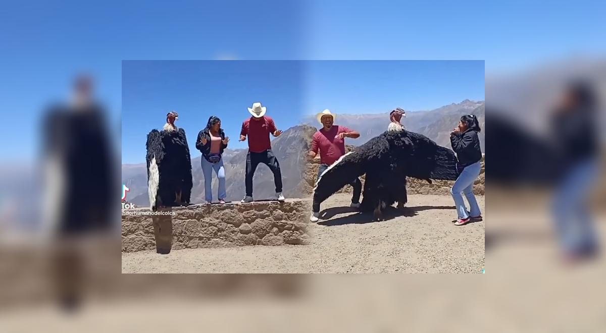 Viral TikTok | Arequipa: ‘Cóndor humano del Colca’ baila al ritmo de ...