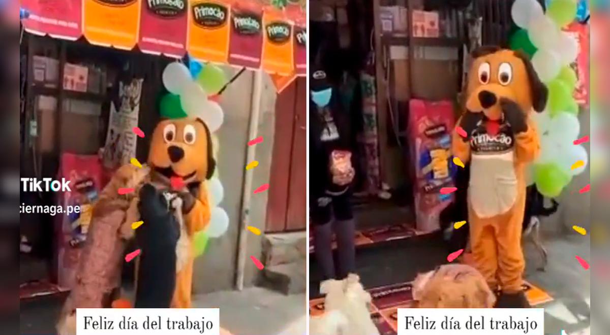 TikTok viral | Chamba es chamba: joven se disfraza de perro para jalar ...