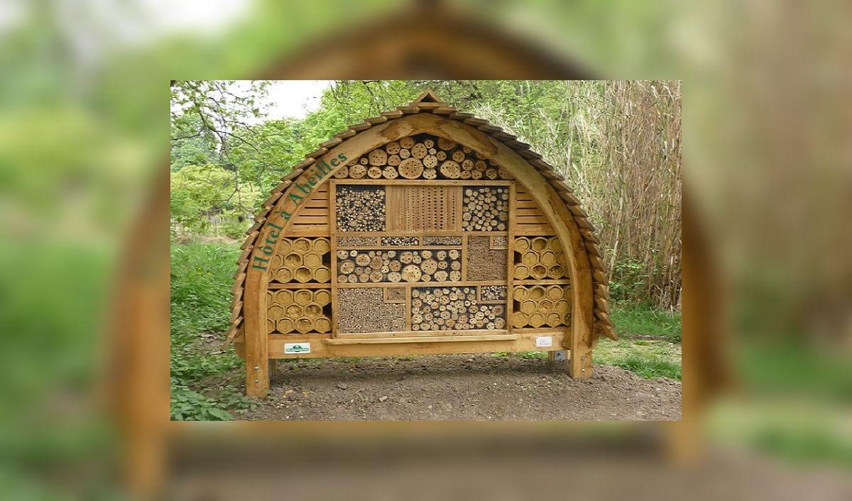 Hotel para insectos: qué es, cómo se construyen y para qué sirven los ...