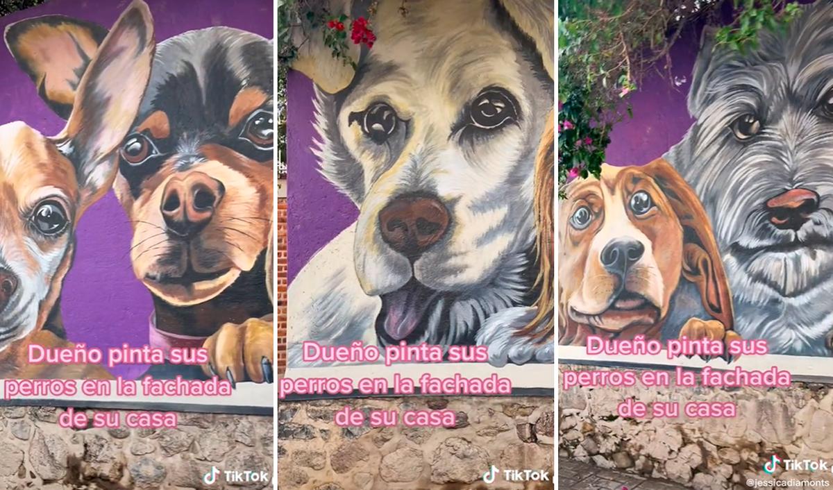 TikTok viral: Joven pinta a todos los perros que adoptó en la fachada ...